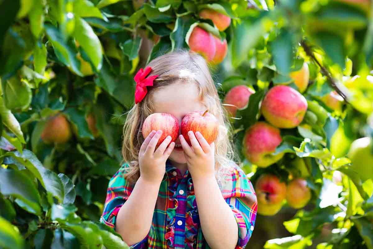 101-beautiful-flower-names-and-plant-names-for-girls-familyeducation